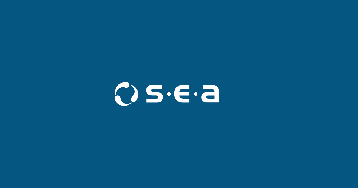Long-term project service - SEA Datentechnik